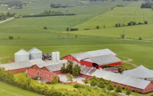 Danishfarms – Uw partner bij agrarisch ondernemen in Denemarken